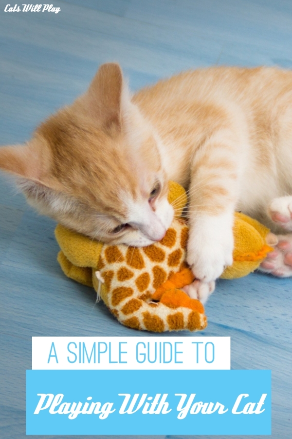 How to Play With Cats: A Simple Guide - Cats Will Play