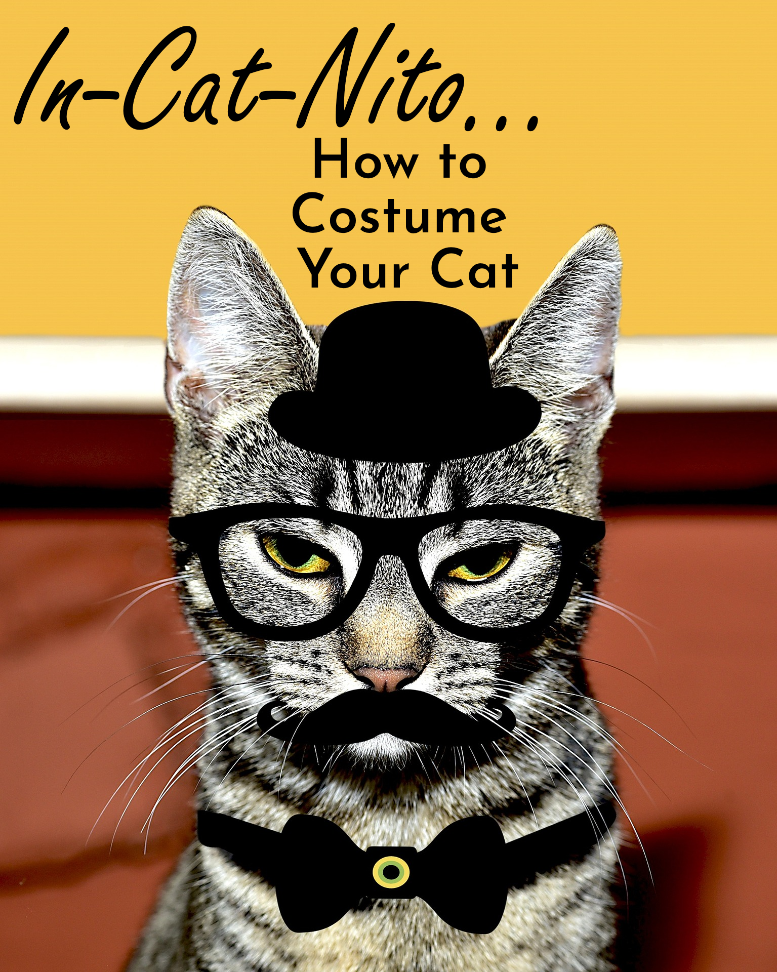 All Done Up: Recommendations for Cat Costumes and How to Fit Them ...