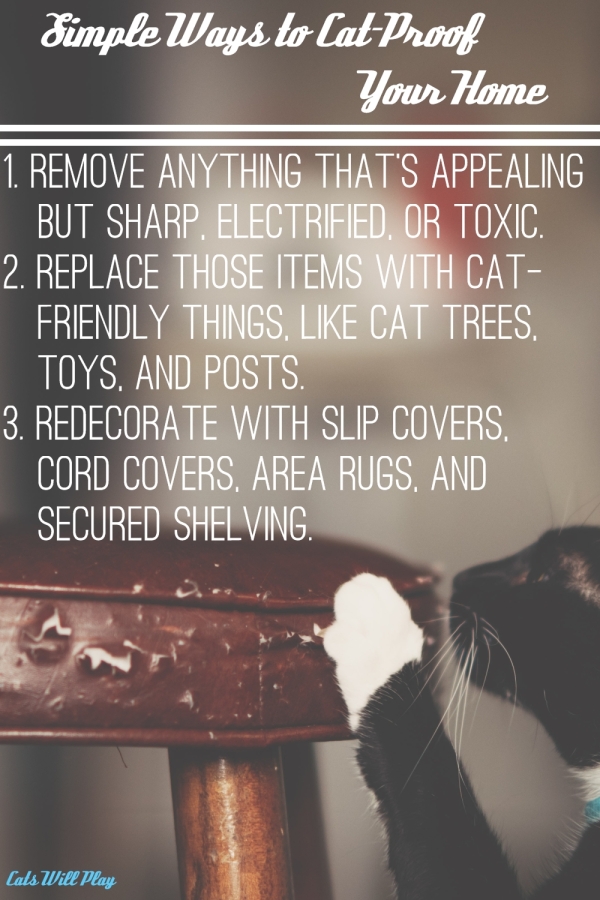 No Kitty! That's a Naughty Kitty!: How to Cat-Proof a Room - Cats Will Play