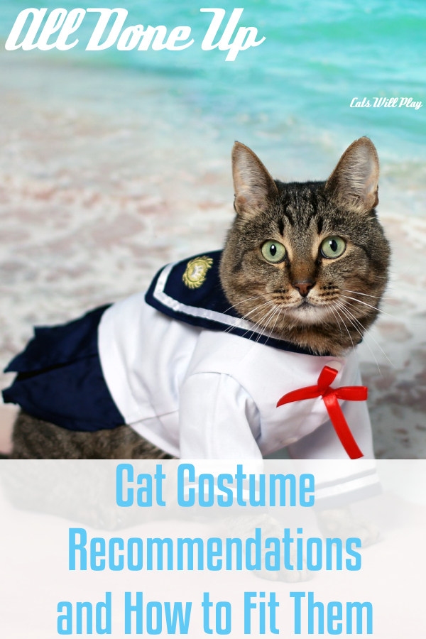 All Done Up: Recommendations for Cat Costumes and How to Fit Them ...