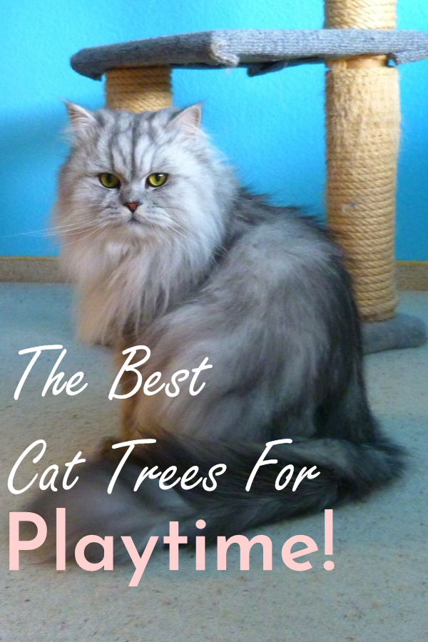 The Best Cat Trees for Playtime - Cats Will Play
