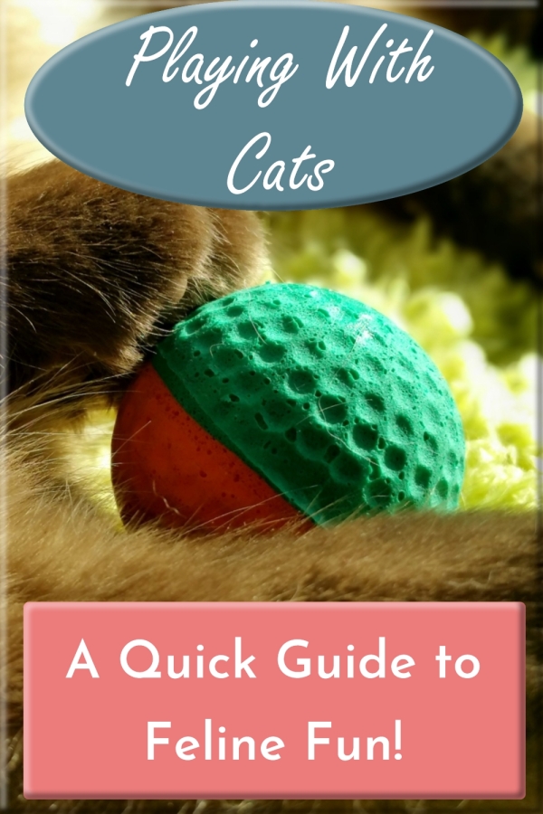 How to Play With Cats: A Simple Guide - Cats Will Play