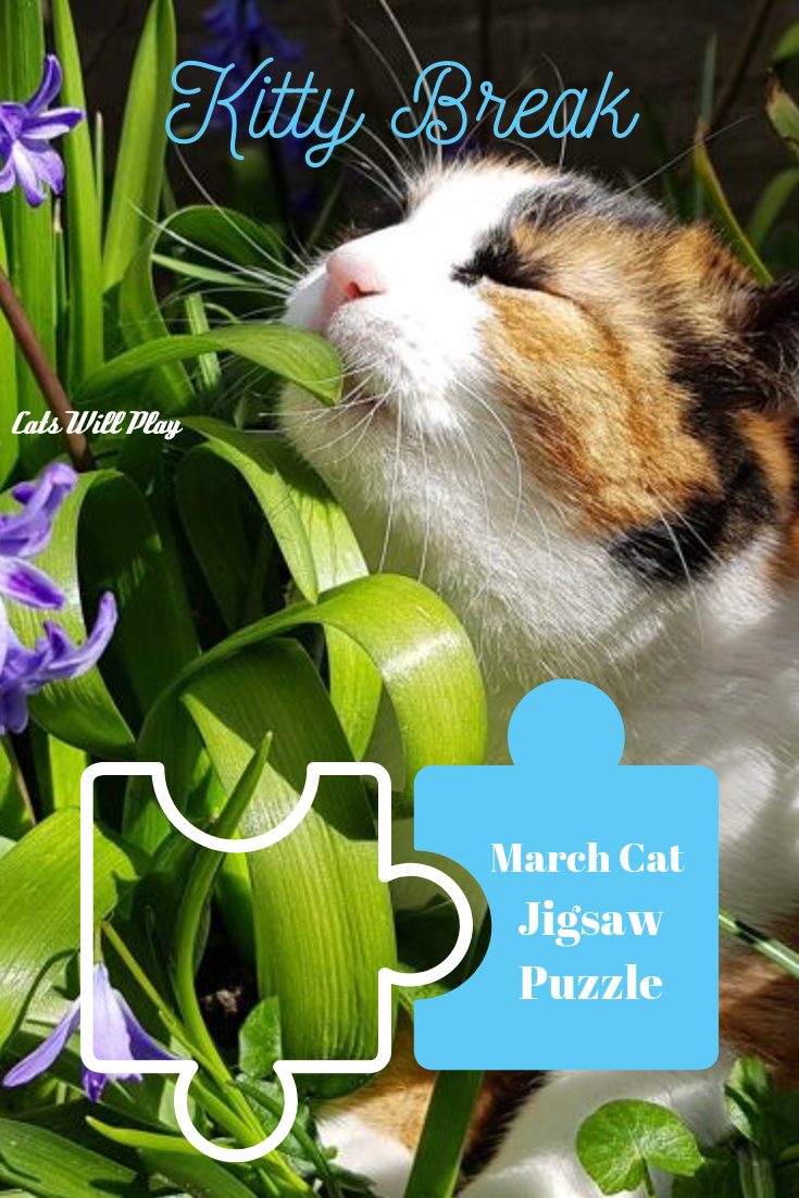 Kitty Break: March Jigsaw Cat Puzzle - Cats Will Play