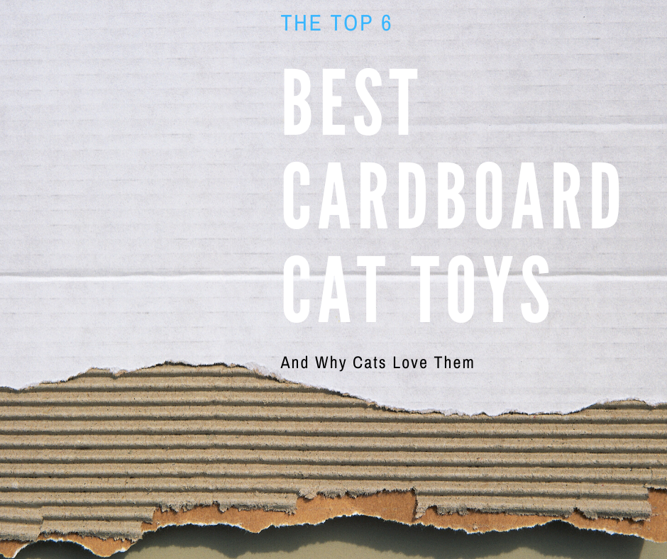 The Top 6 Best Cardboard Cat Toys and Why Cats Love Them - Cats Will Play