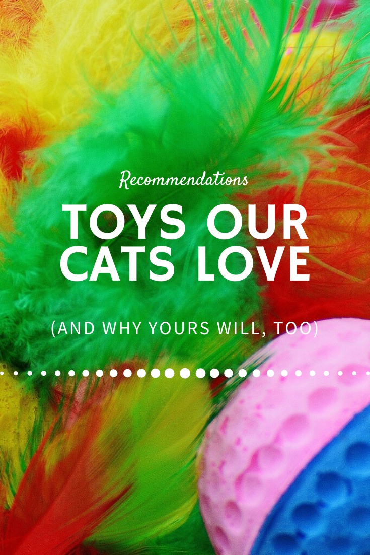 Our Favorite Cat Toys at Cats Will Play - Cats Will Play