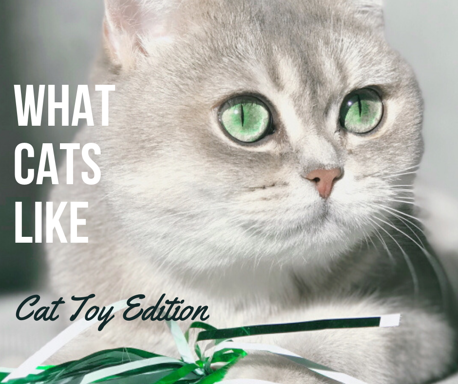 What Cats Like: Cat Toy Edition - Cats Will Play