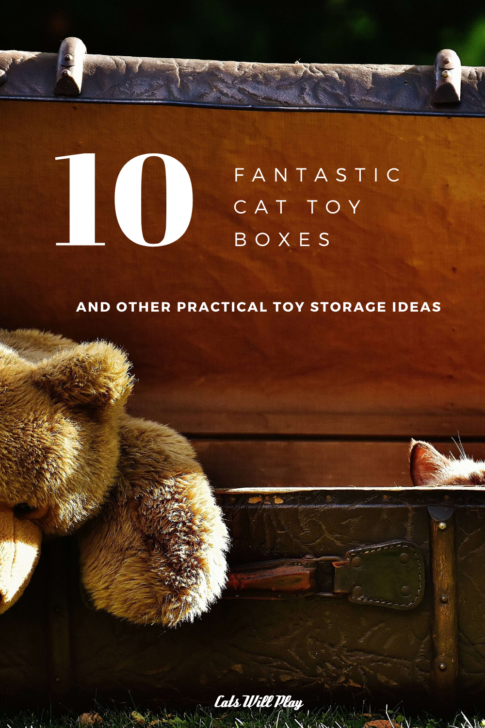 The Cat Toy Box: Practical Tips for Toy Storage and Recommendations ...