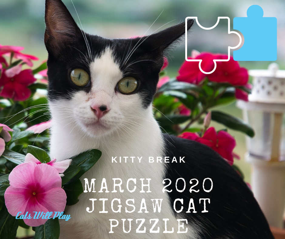 Kitty Break: March 2020 Jigsaw Cat Puzzle - Cats Will Play