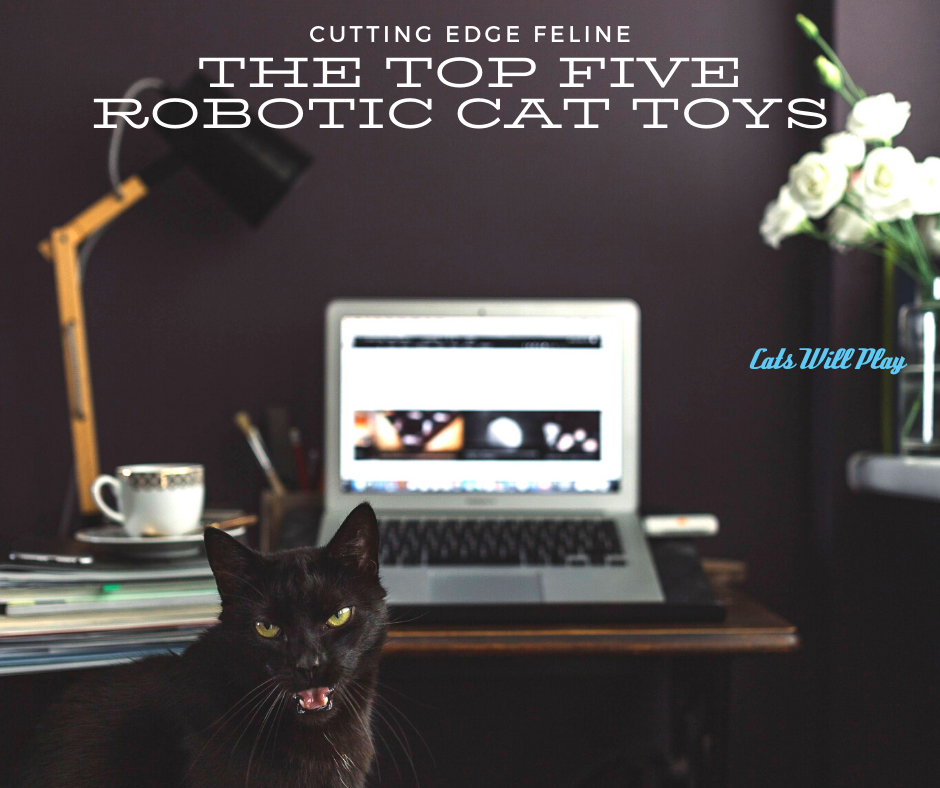 Cutting Edge Feline: The Top Five Robotic Cat Toys - Cats Will Play