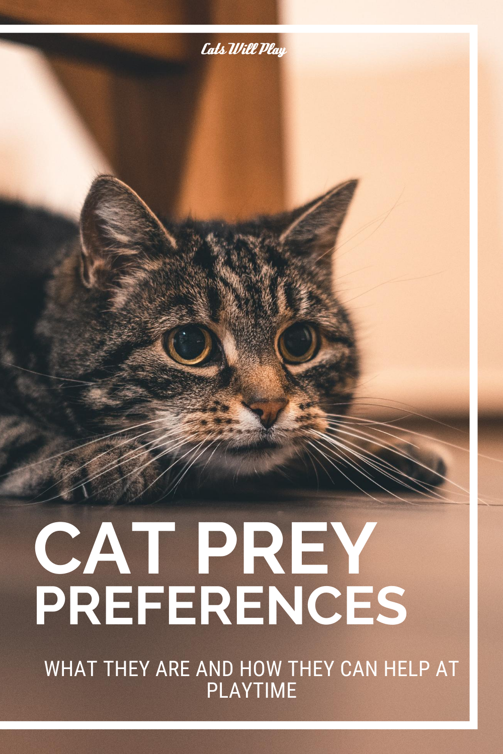 Cat Prey Preferences: What They Are and How They Can Help at Playtime ...