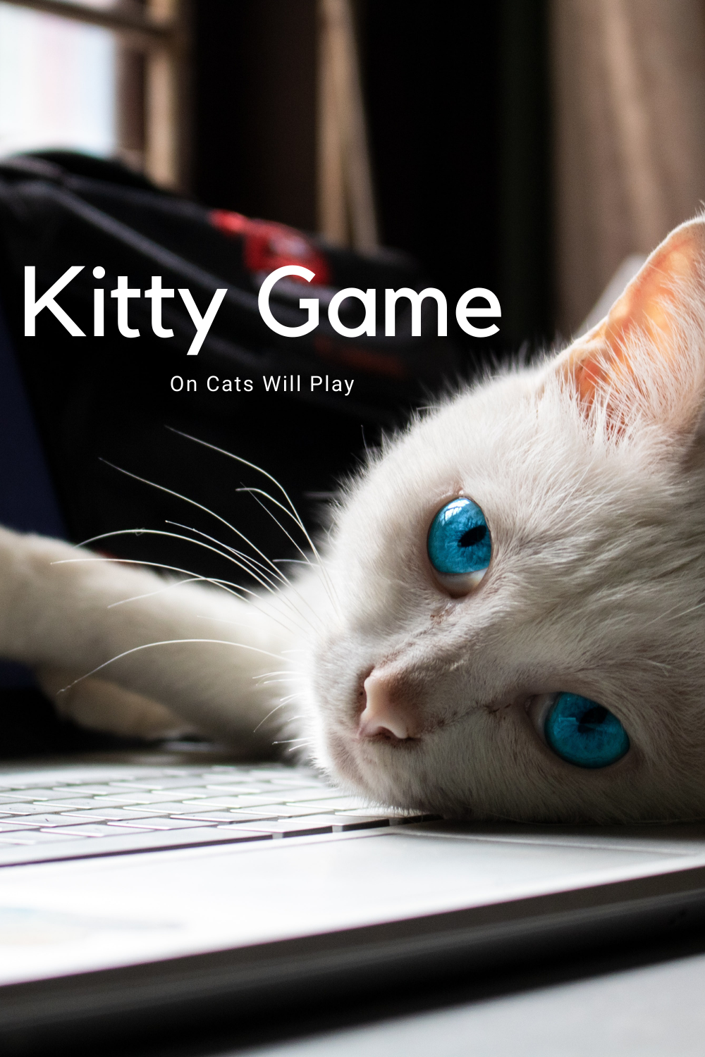 Kitty Game: Kiss Cat - Cats Will Play